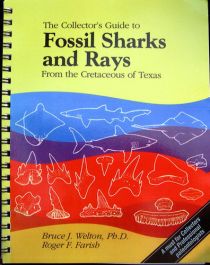 The Collector's Guide to Fossil Sharks and Rays