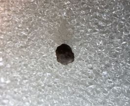 Rare French raptor dinosaur egg shell for sale | Buried Treasure Fossils