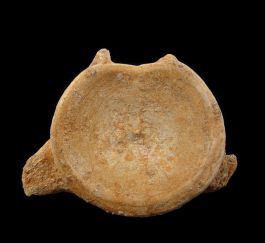 Mosasaur vertebra for sale | Buried Treasure Fossils