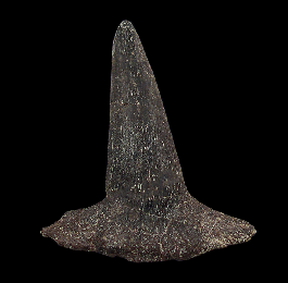 Spicomellus afer spike | Buried Treasure Fossils