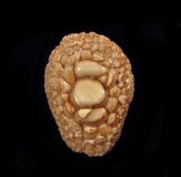 Phyllodus toliapicus