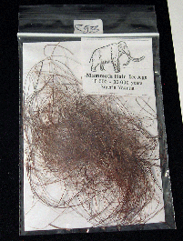 Real Wooly Mammoth hair for sale | Buried Treasure Fossils