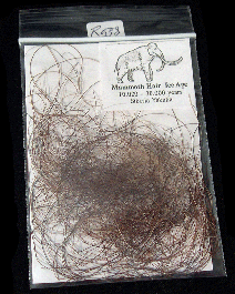 Woolly Mammoth hair | Buried Treasure Fossils