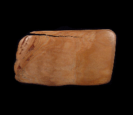 Real Mammoth tusk section for sale | Buried Treasure Fossils