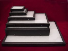 Specimen display frames for sale | Buried Treasure Fossils