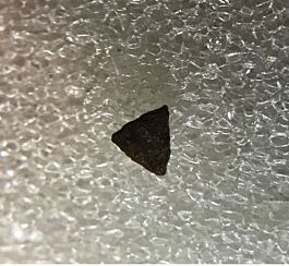 Real Pyroraptor egg shell for sale | Buried Treasure Fossils