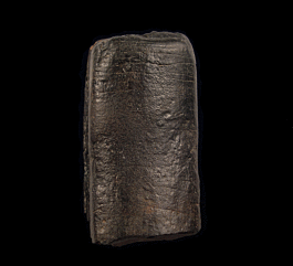 Eremotherium sloth tooth | Buried Treasure Fossils