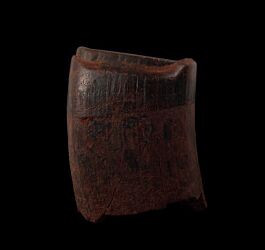 Megalonyx sloth tooth | Buried Treasure Fossils