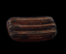 Capybara tooth fossil | Buried Treasure Fossils